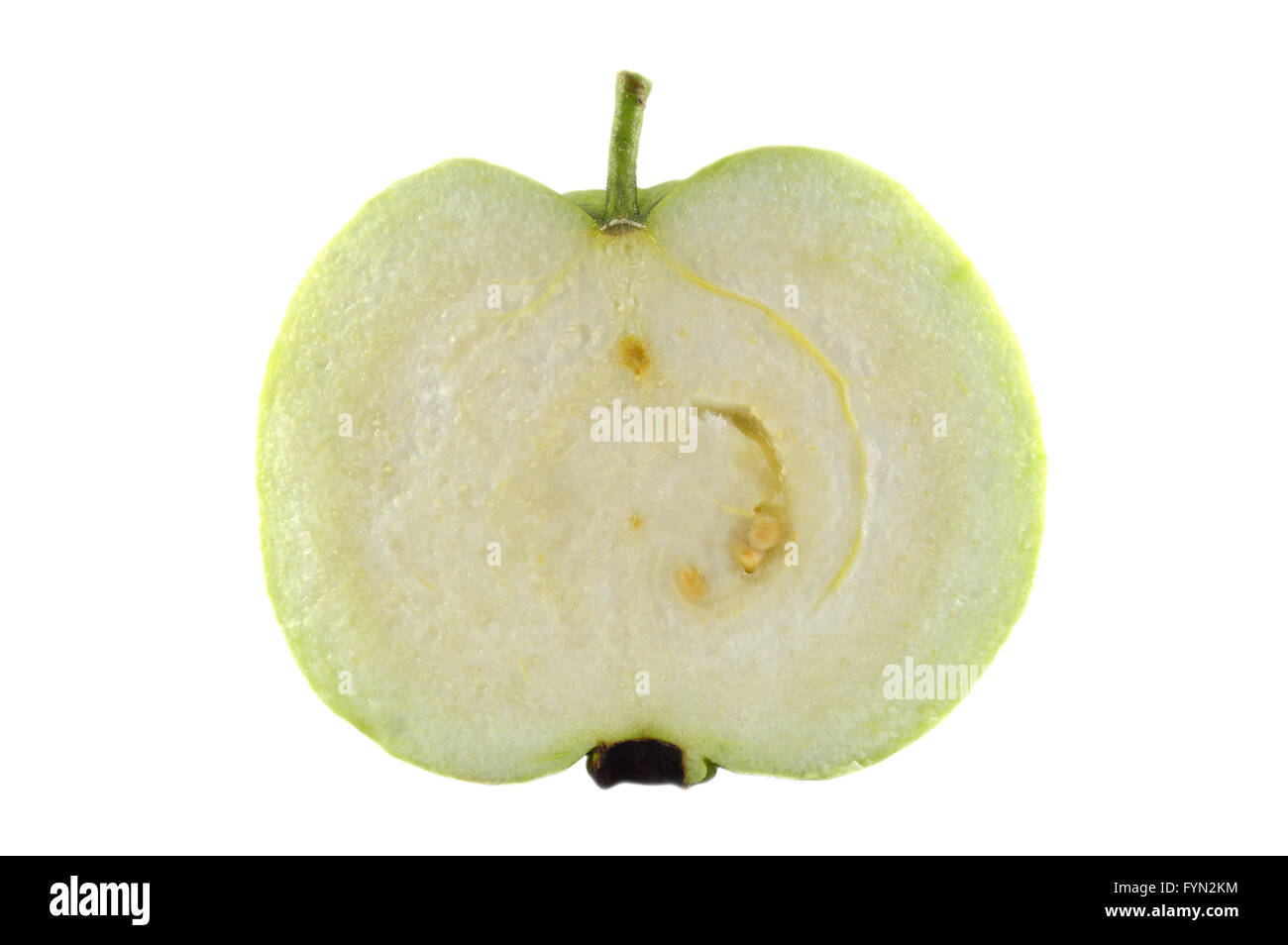 Half of guava on white background Stock Photo - Alamy