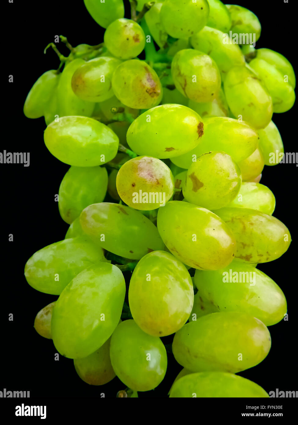 Grapes display hi-res stock photography and images - Alamy