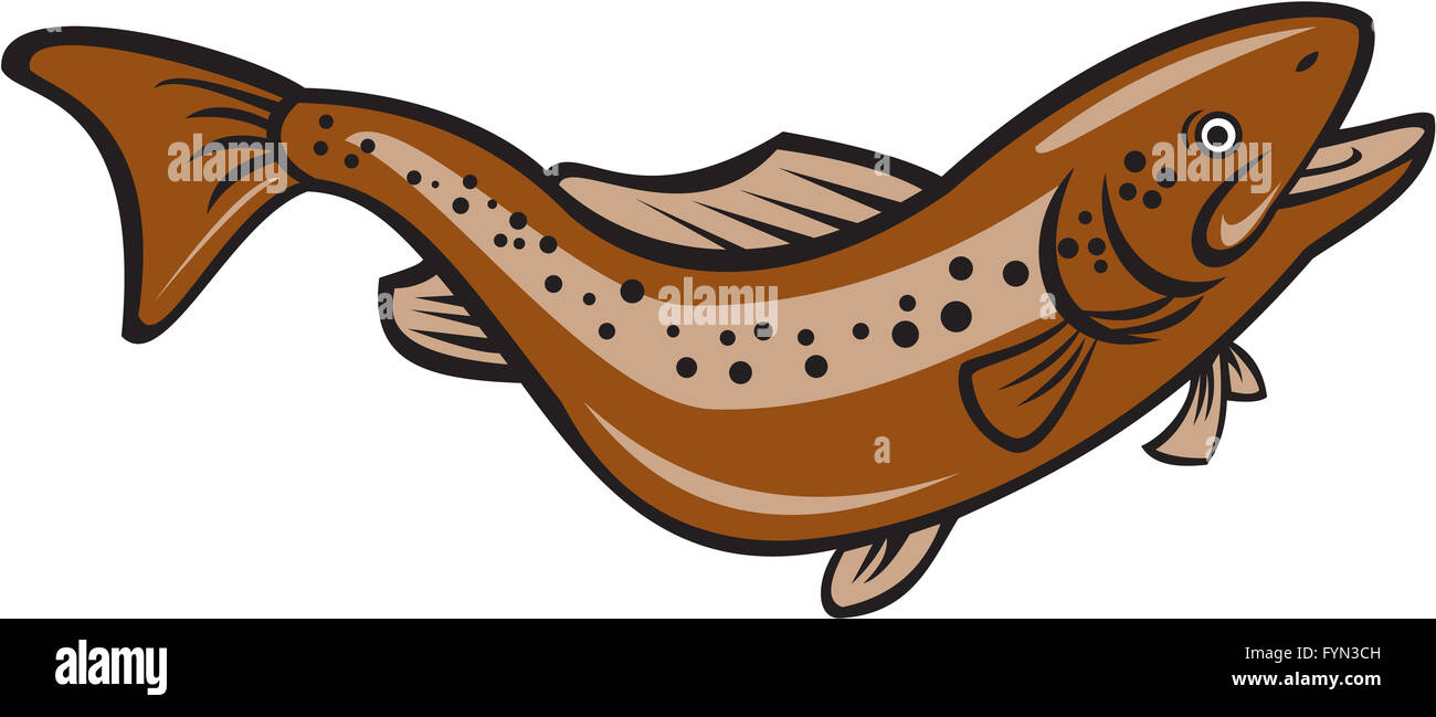 Brown Spotted Trout Jumping Cartoon Stock Photo - Alamy