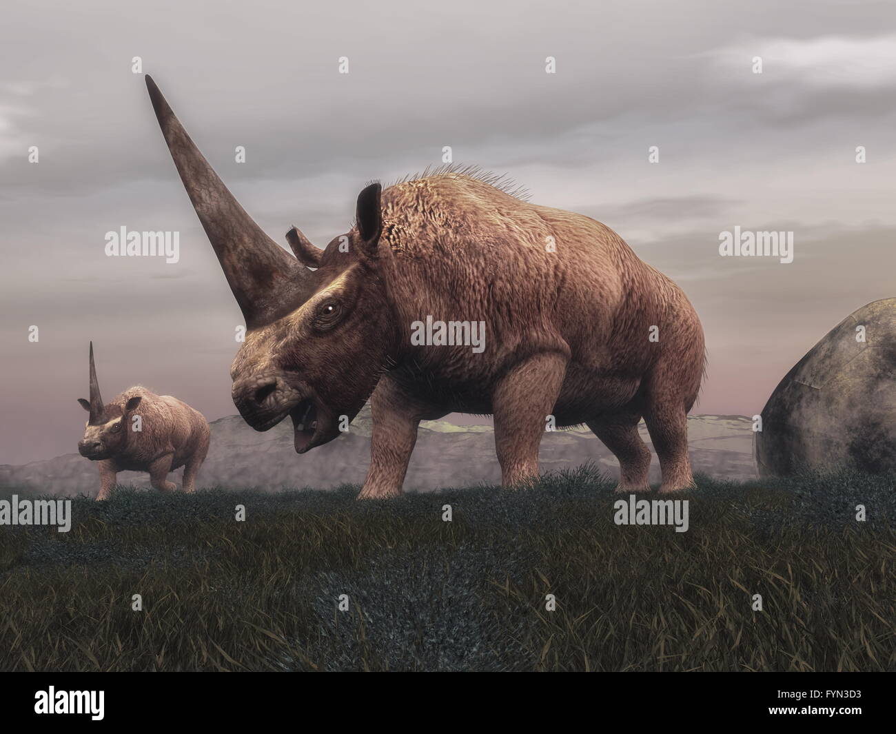 Elasmotherium hi-res stock photography and images - Alamy