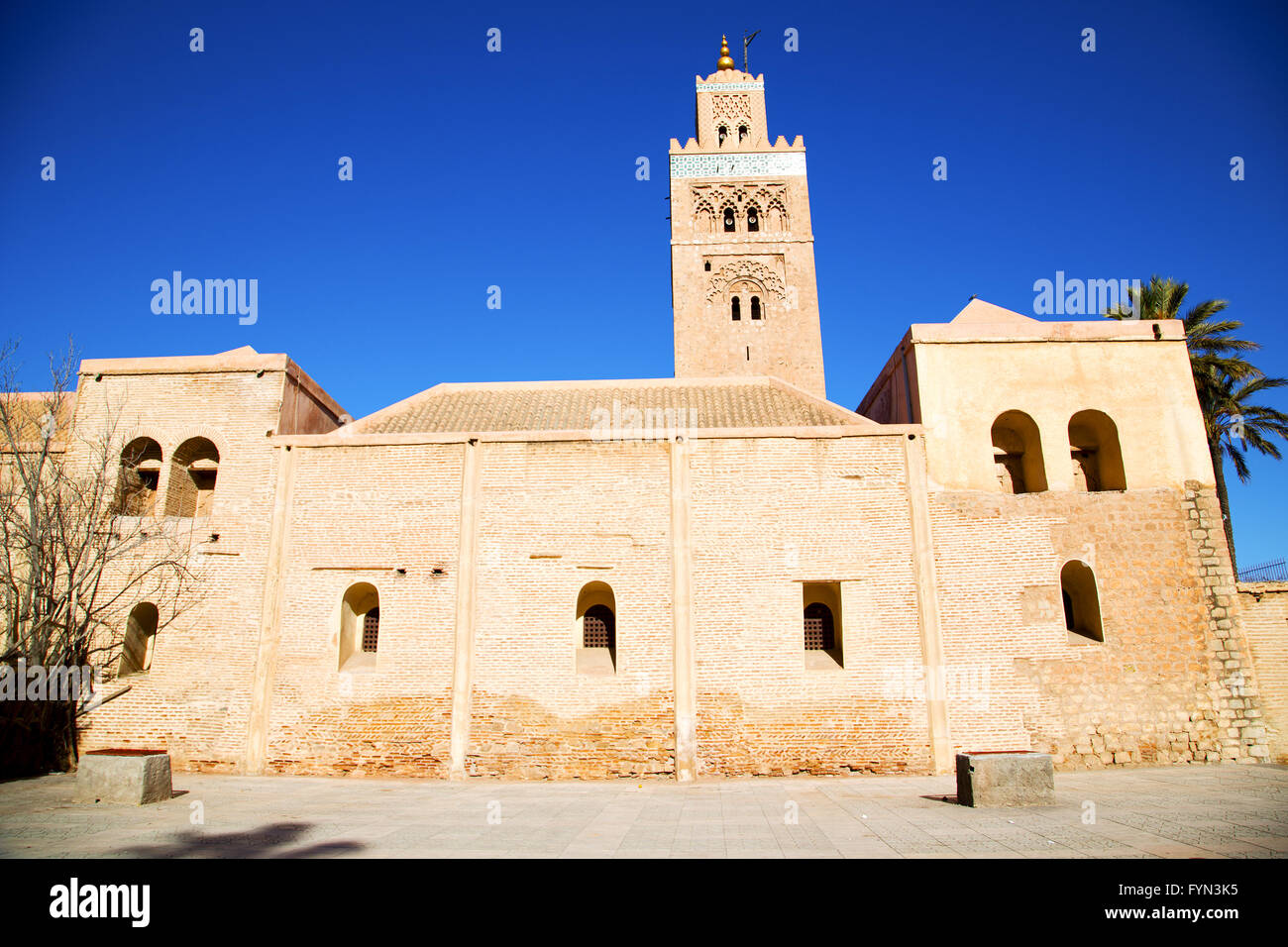 history in maroc palm and the blue sky Stock Photo - Alamy