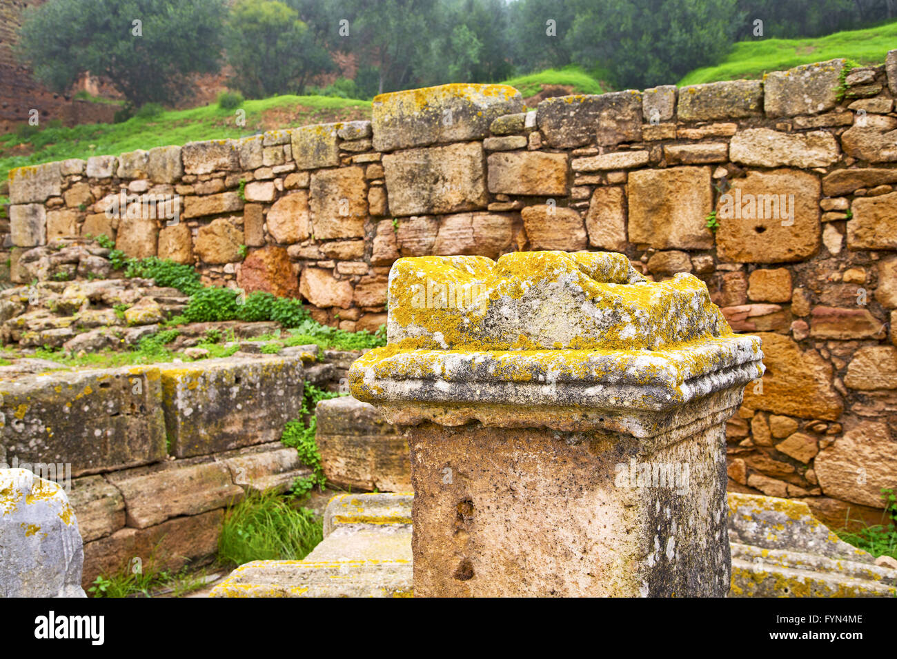 chellah morocco africa Stock Photo - Alamy