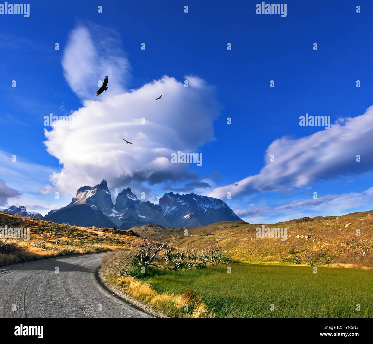 Above the valley flying flock of Andean condors Stock Photo - Alamy