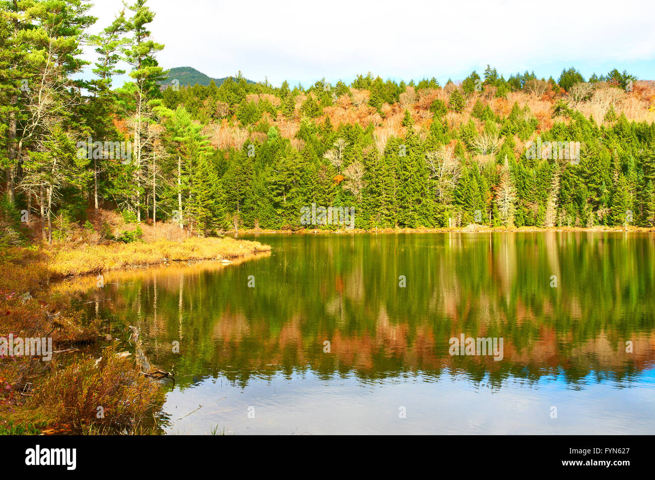 Pond in White Mountain National Forest, New Hampshire Stock Photo - Alamy