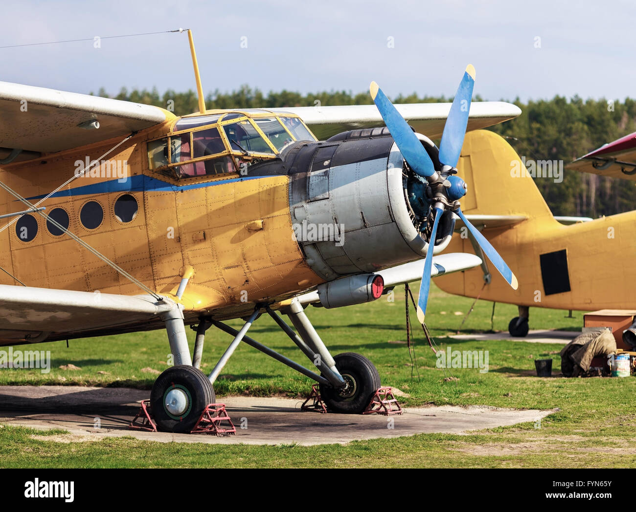 Airplanes standing on green gras. Two old yellow biplane in a retro ...