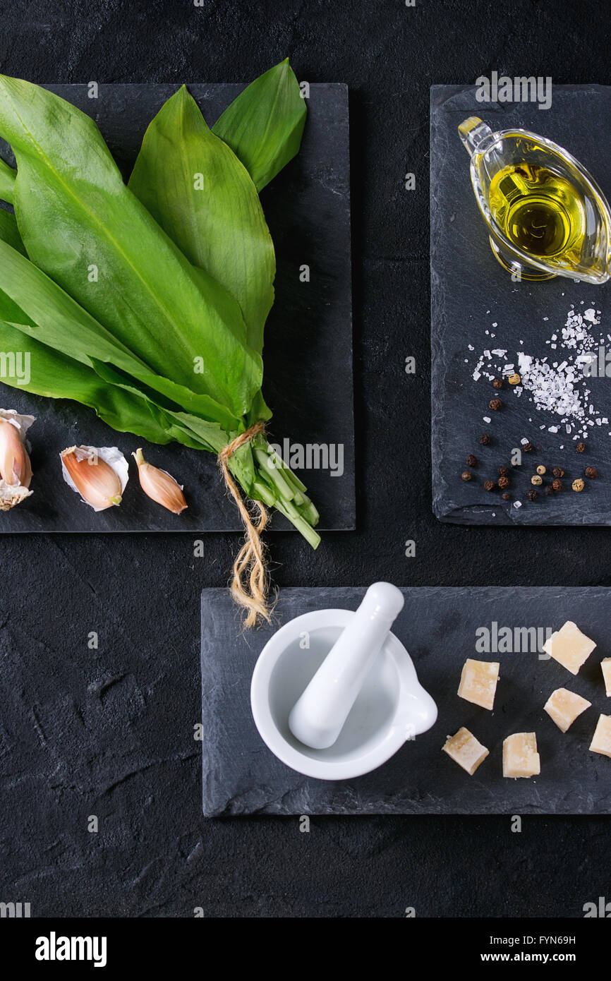 Bunch of fresh ramson Stock Photo - Alamy