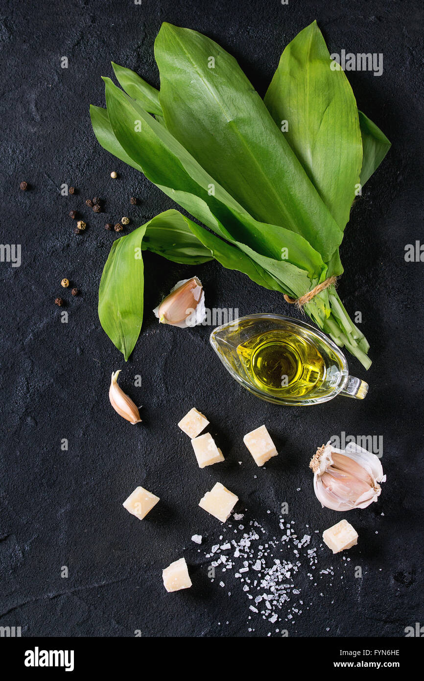 Bunch of fresh ramson Stock Photo - Alamy