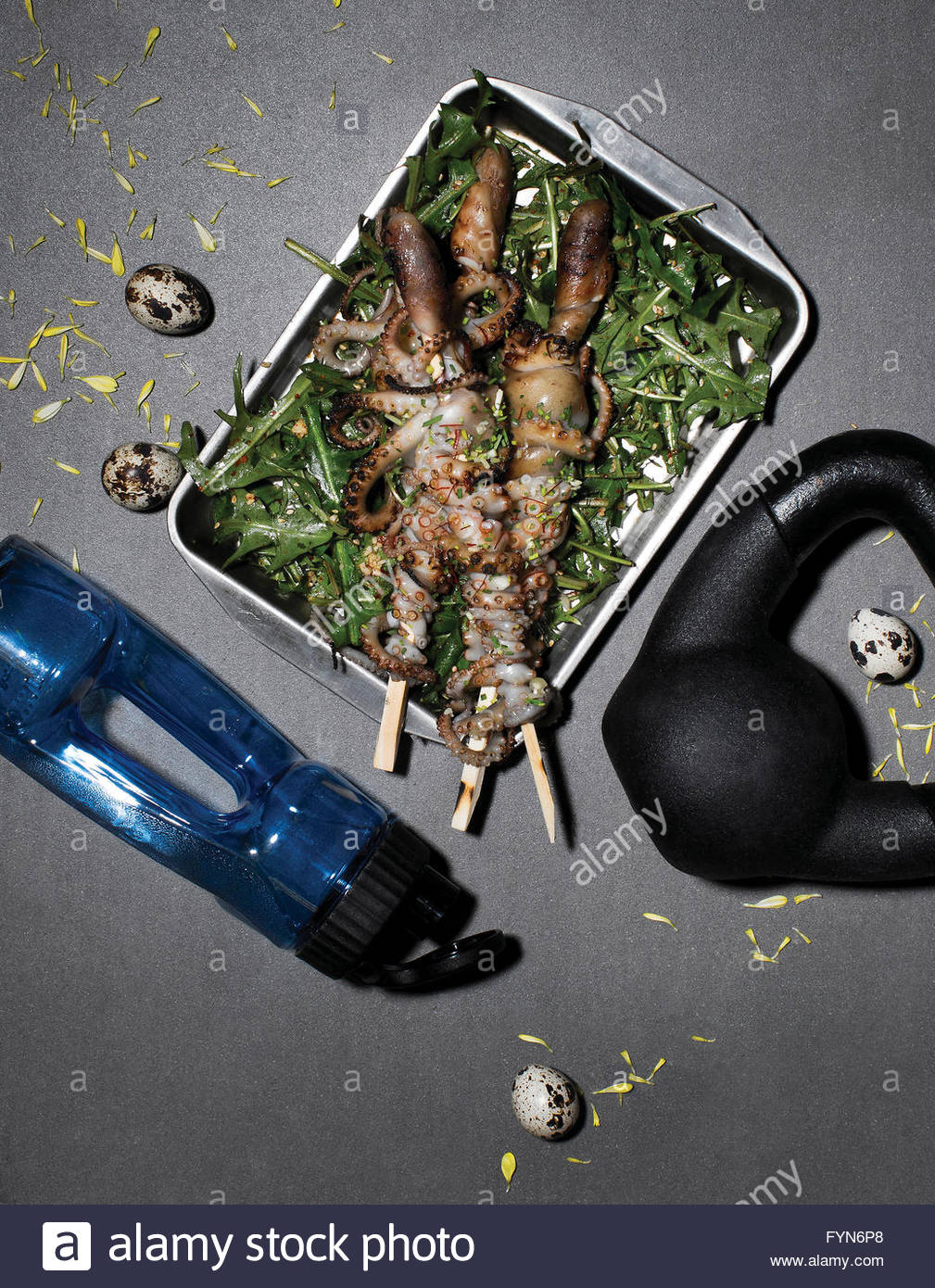 Lesser Octopus Stock Photos & Lesser Octopus Stock Images - Alamy