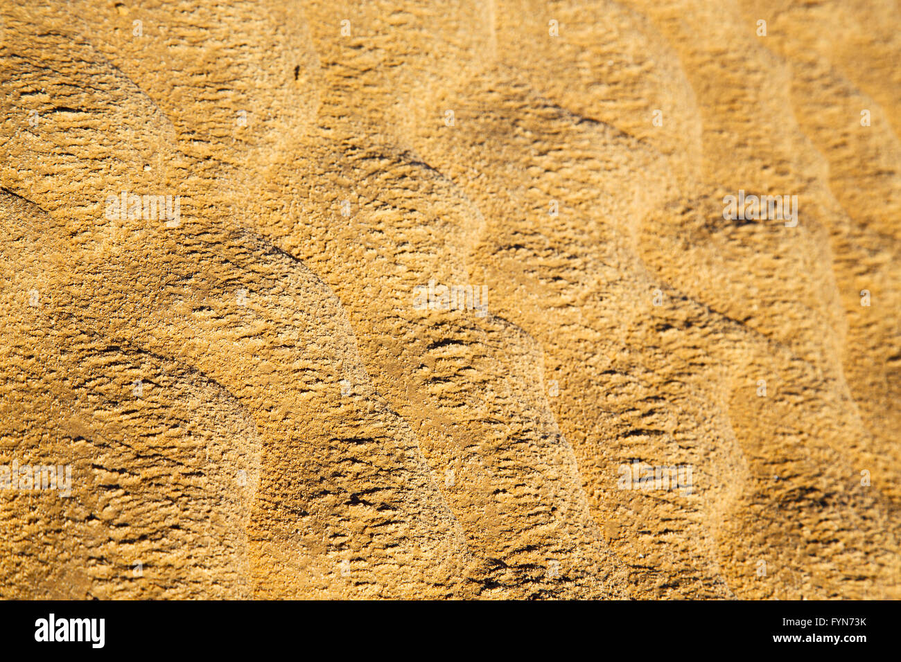 brown dry sand in sahara desert Stock Photo - Alamy