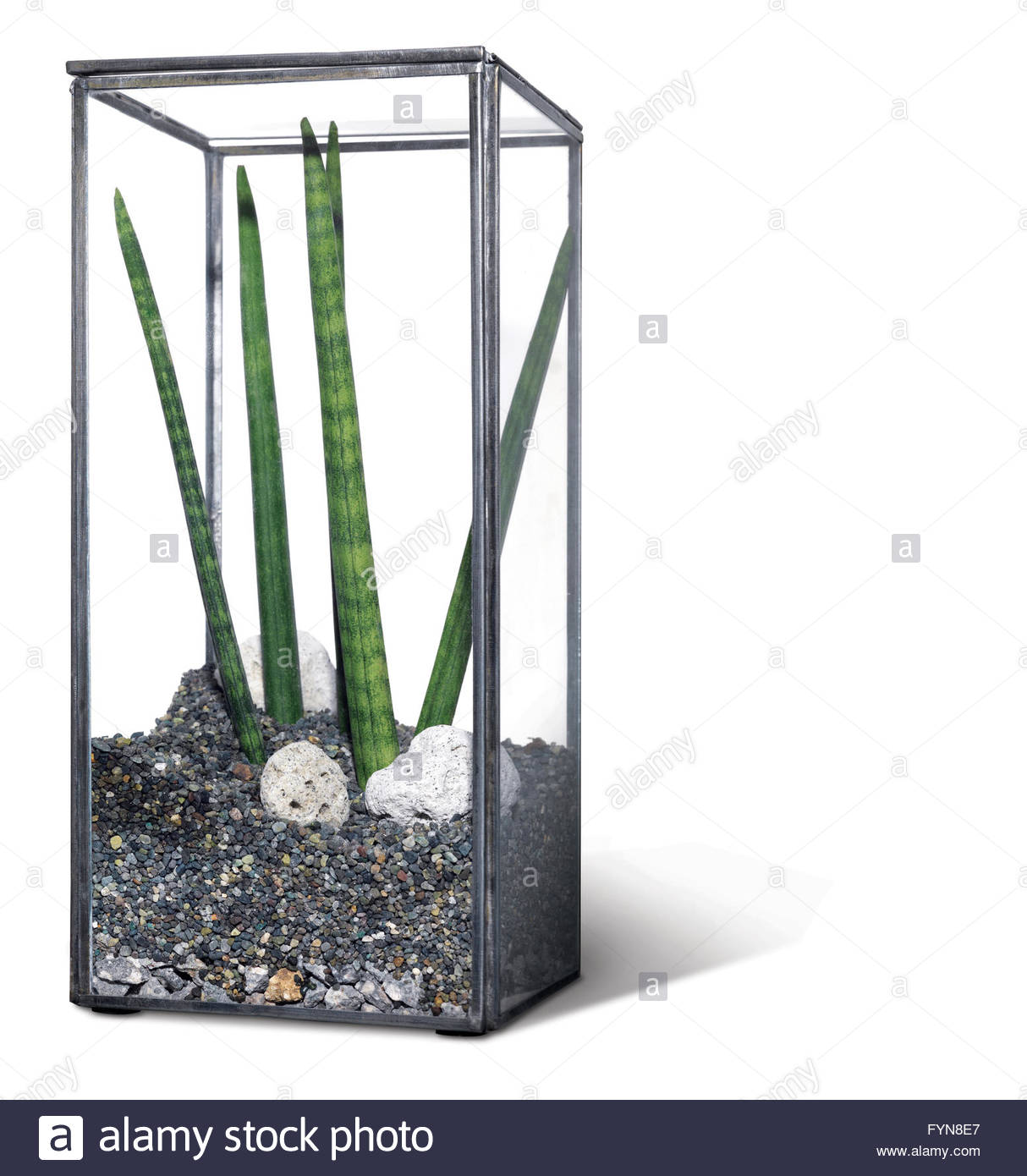 Tookie Stock Photos & Tookie Stock Images - Alamy