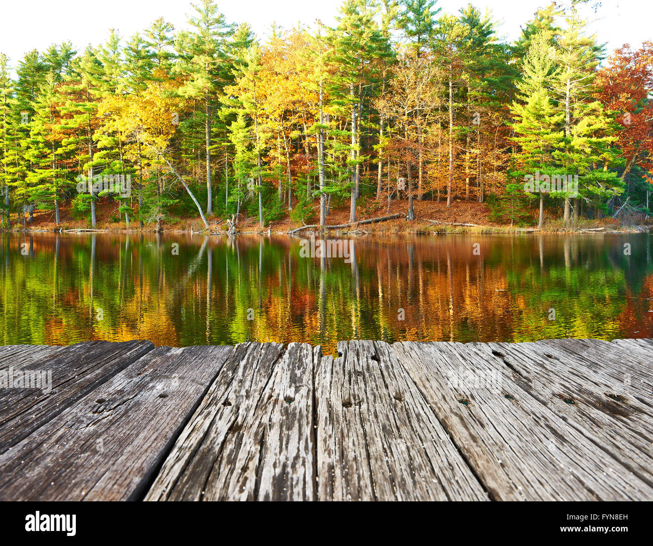 Pond in White Mountain National Forest, New Hampshire Stock Photo - Alamy