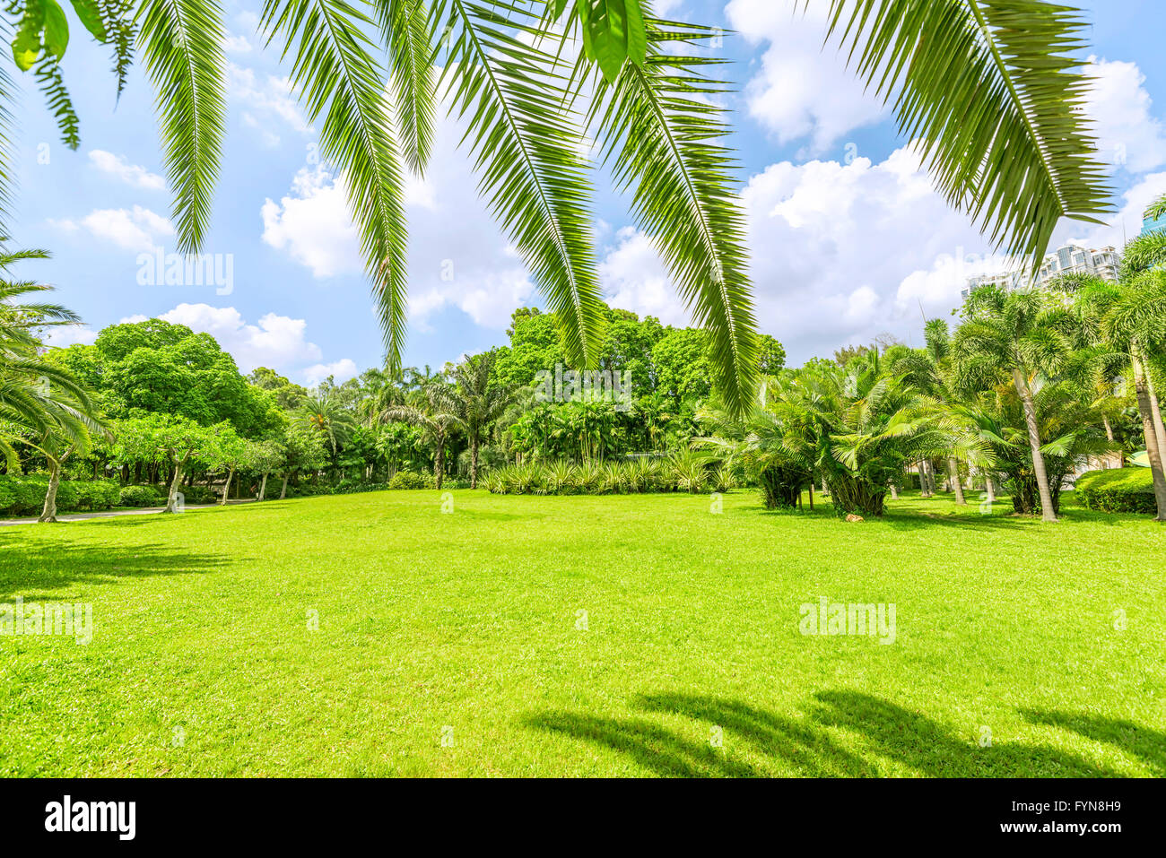 Park sunshine hi-res stock photography and images - Alamy