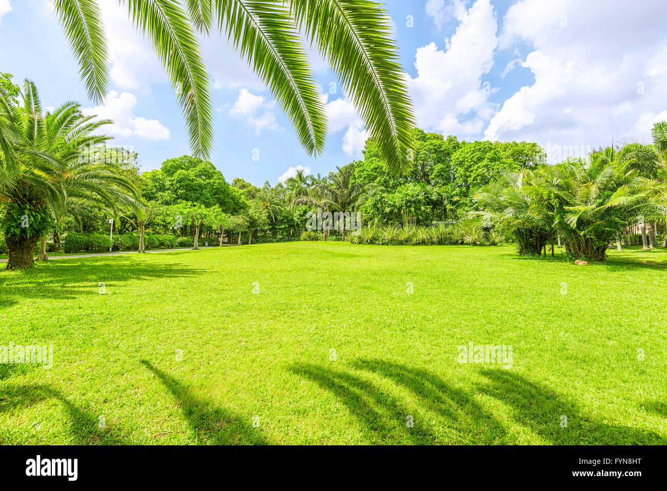 Public summer park under sunshine hi-res stock photography and images ...