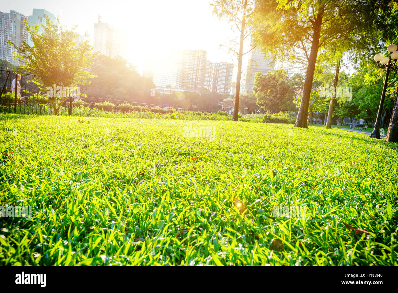 Under the sunshine hi-res stock photography and images - Alamy