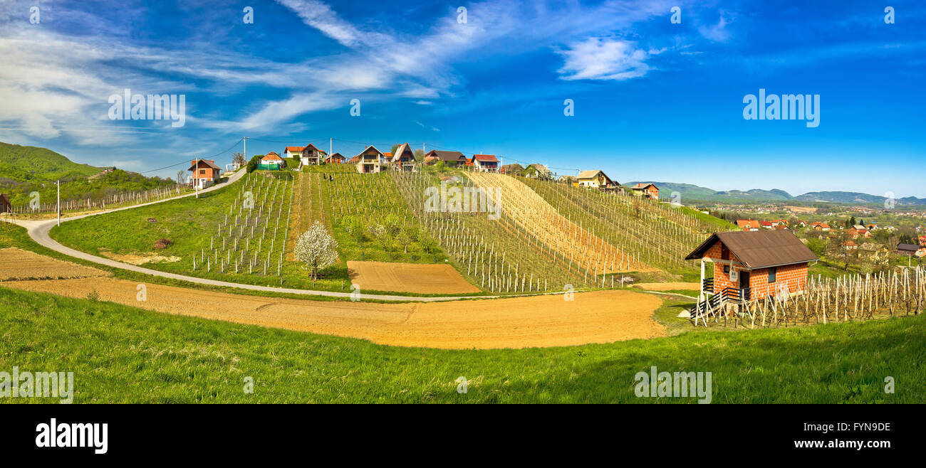 Hillside vineyards and cottages of Zagorje region, northern Croatia ...