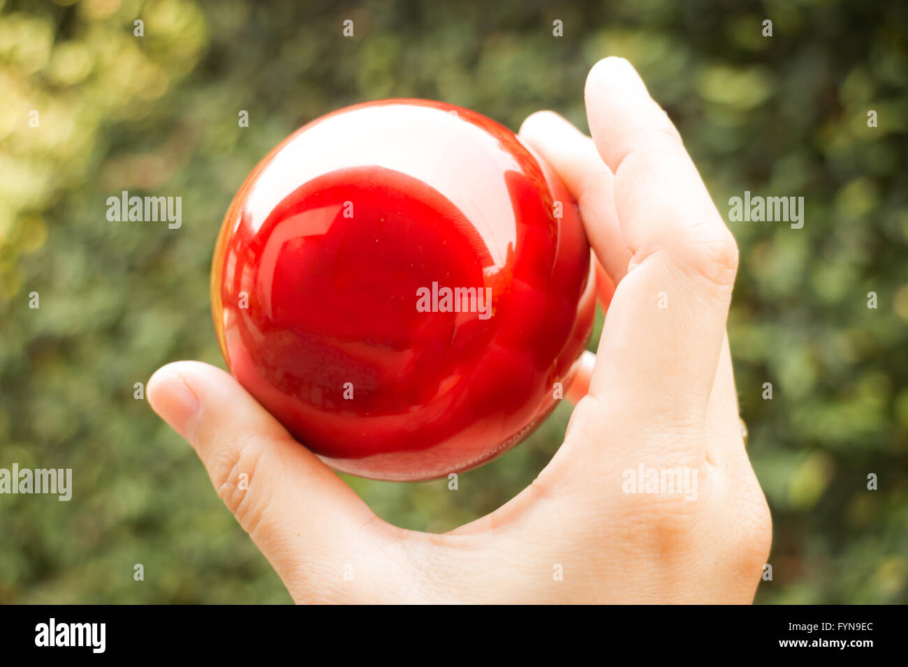 Shiny red ball on hand, stock photo Stock Photo - Alamy