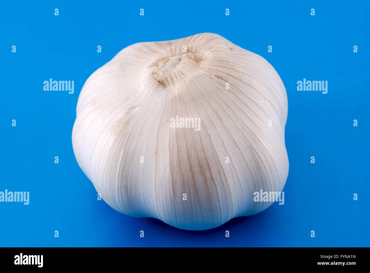 Blue garlic hi-res stock photography and images - Alamy