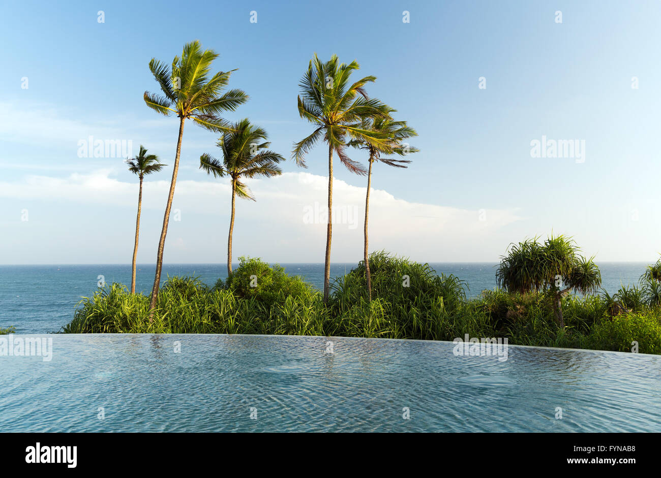 view from infinity edge pool to ocean and palms Stock Photo - Alamy