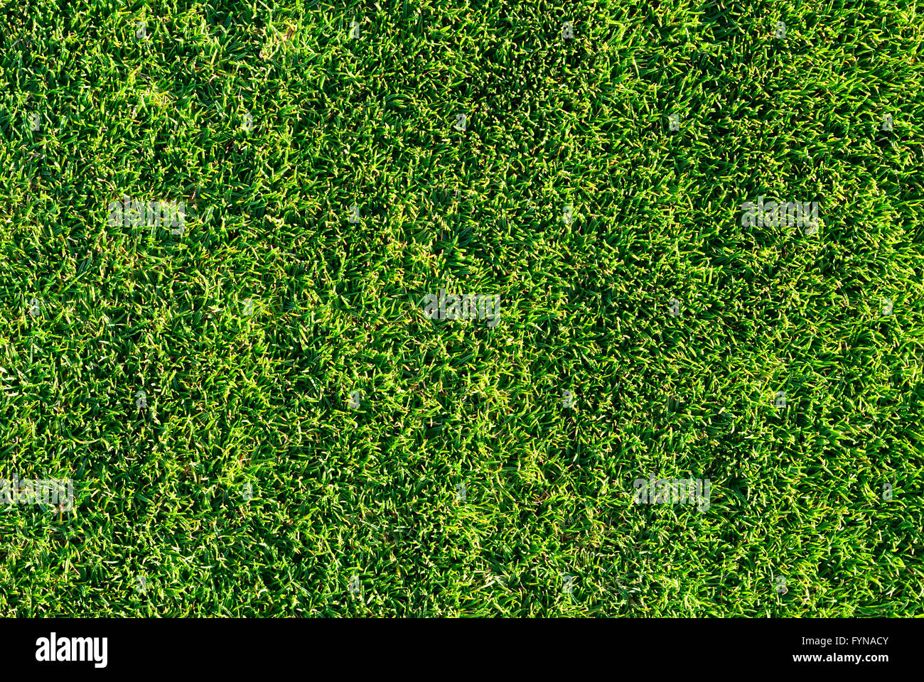 Highly detailed texture hi-res stock photography and images - Alamy