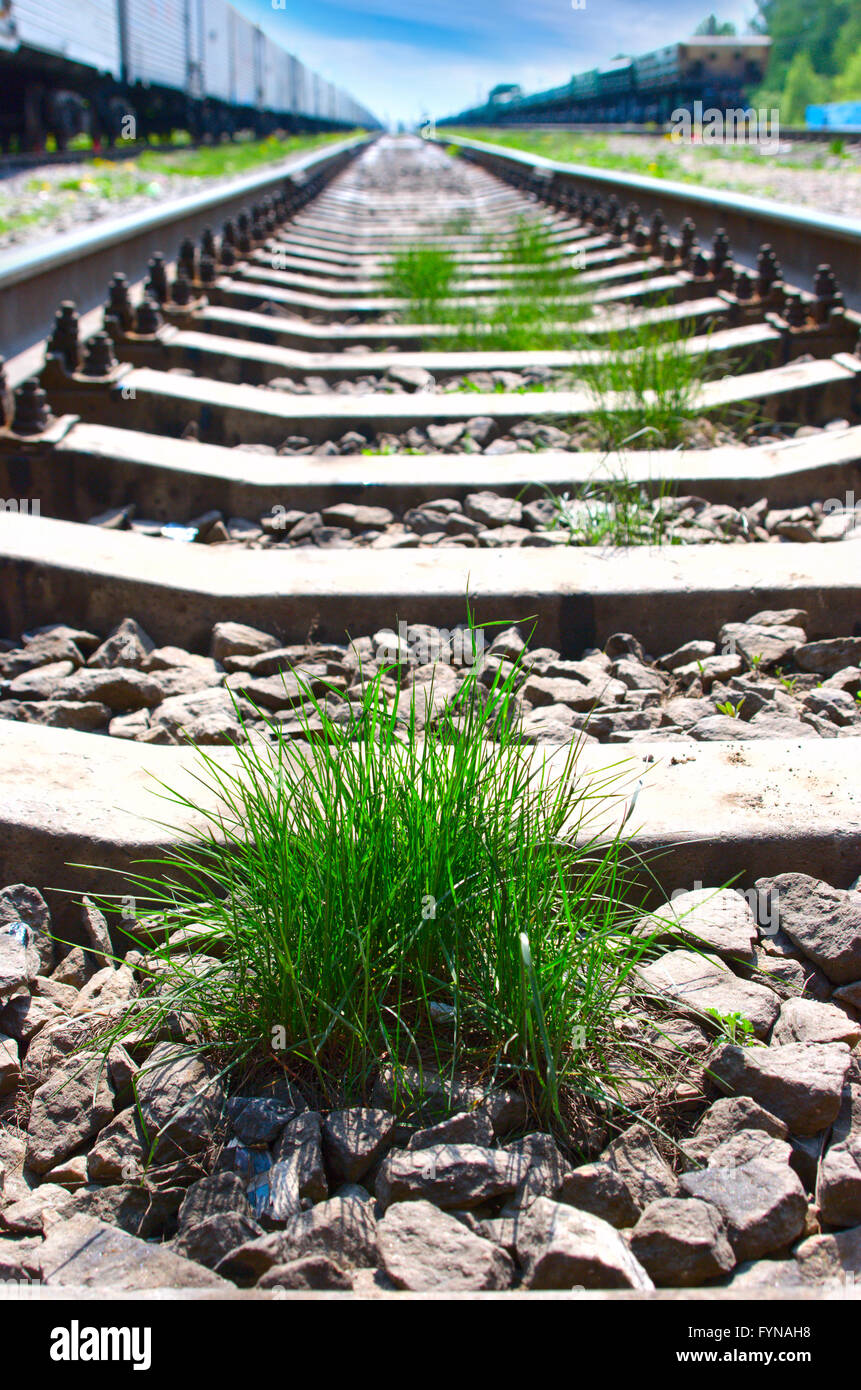 grass on a railway Stock Photo - Alamy