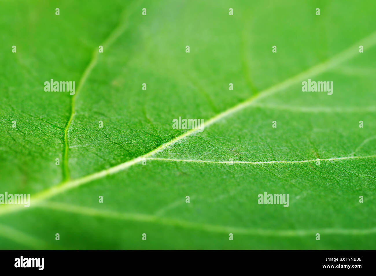 Asymmetry hi-res stock photography and images - Alamy