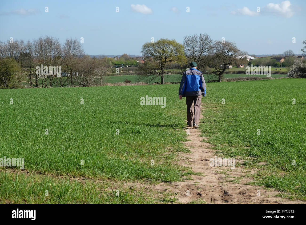 man walking across farmland in leicestershire Stock Photo - Alamy