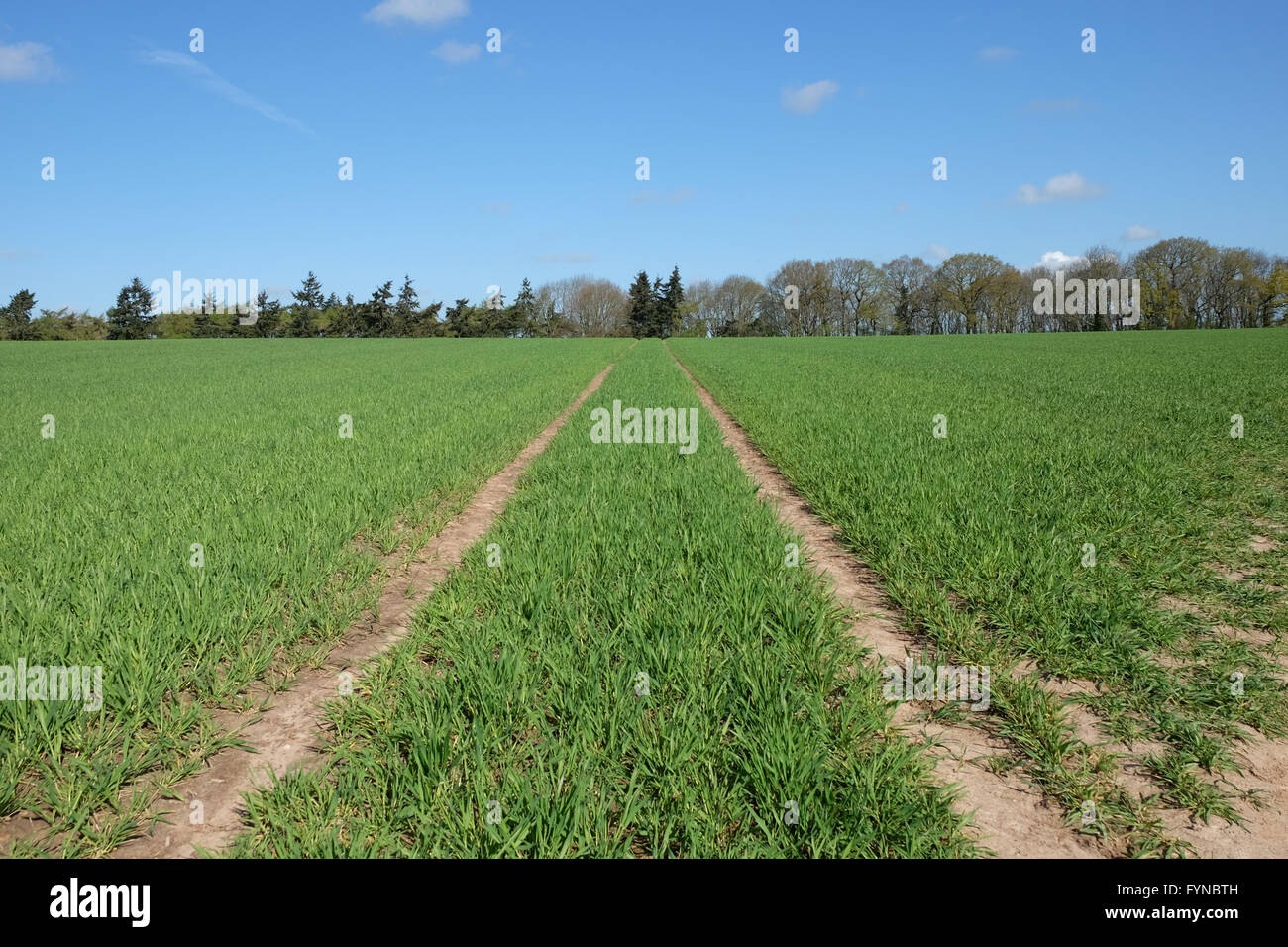 Farm land farming hi-res stock photography and images - Alamy