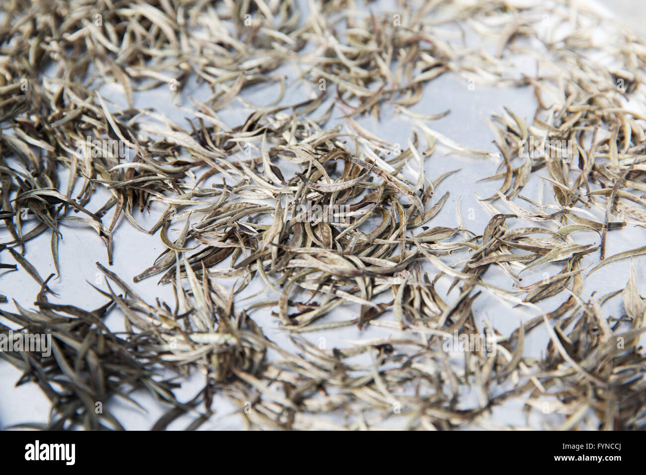 Tea raw hi-res stock photography and images - Alamy