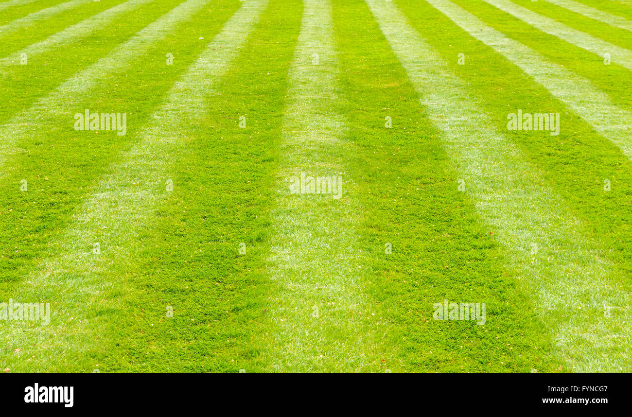 Lawn green mowed cut hi-res stock photography and images - Alamy