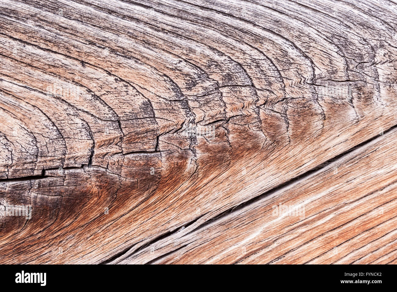 Grain detail hi-res stock photography and images - Alamy