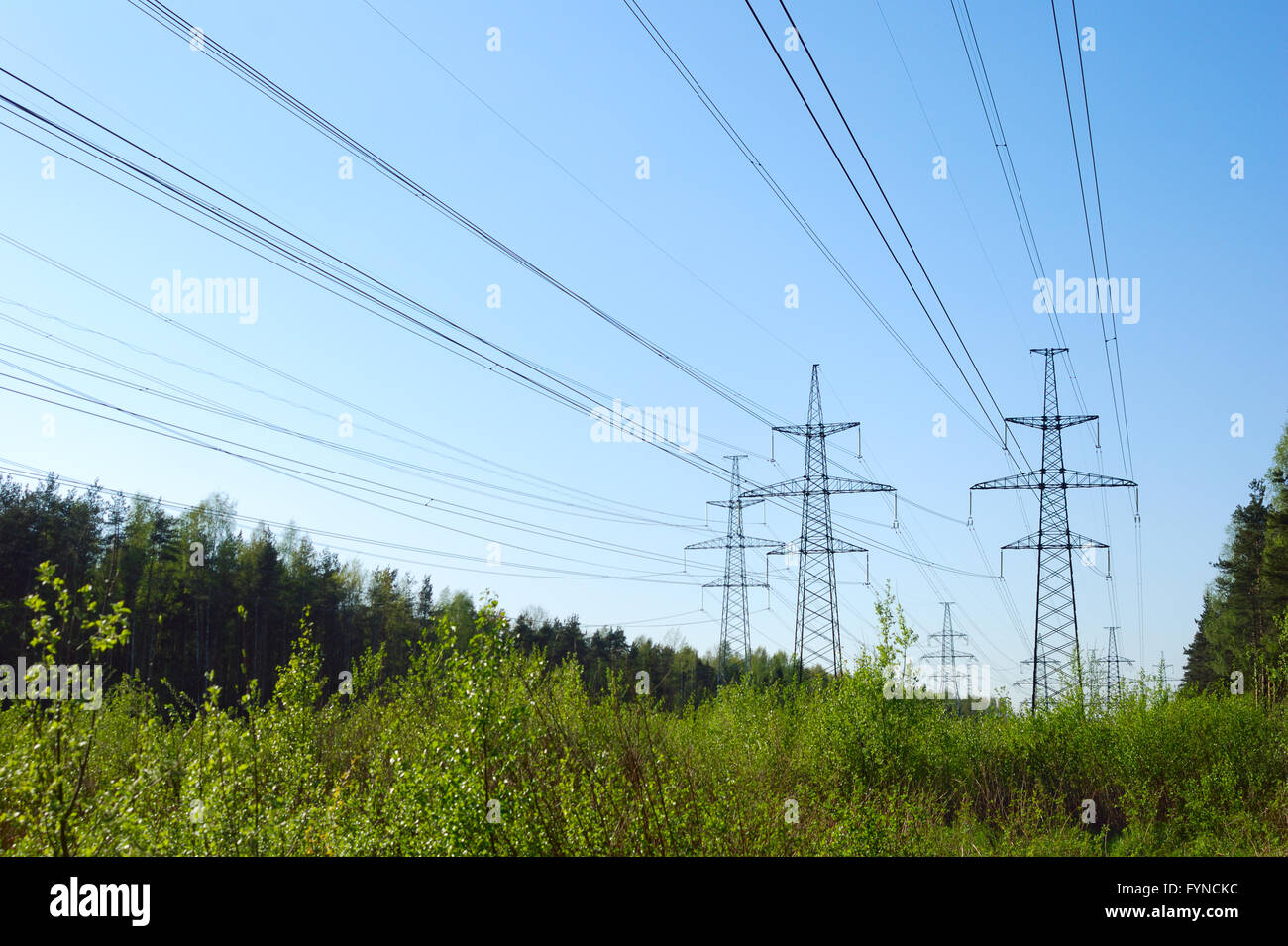 power lines in forest Stock Photo - Alamy
