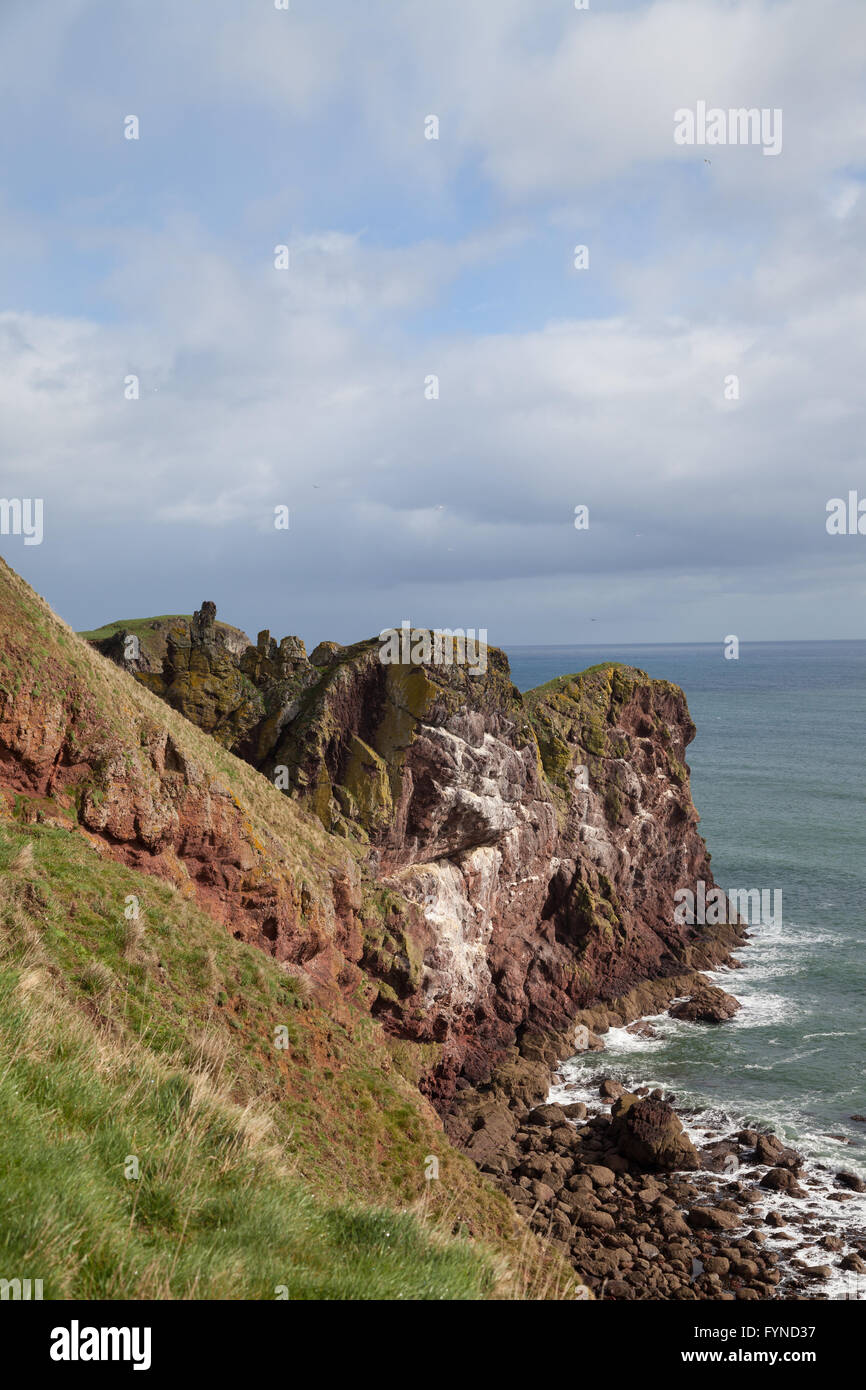 Coastline of scotland hi-res stock photography and images - Alamy