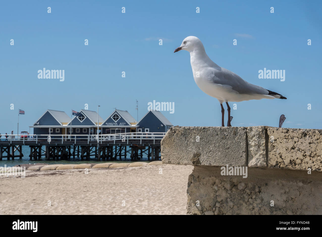 Busselton Jetty, Busselton, South of Perth, Western Australia. The ...