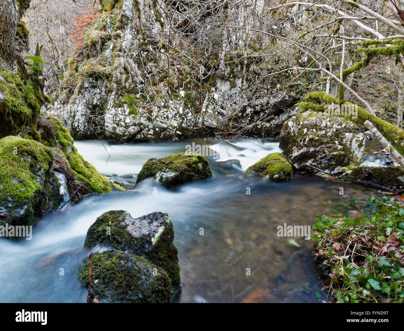 Maleval waterfall, Cantal, France Stock Photo - Alamy