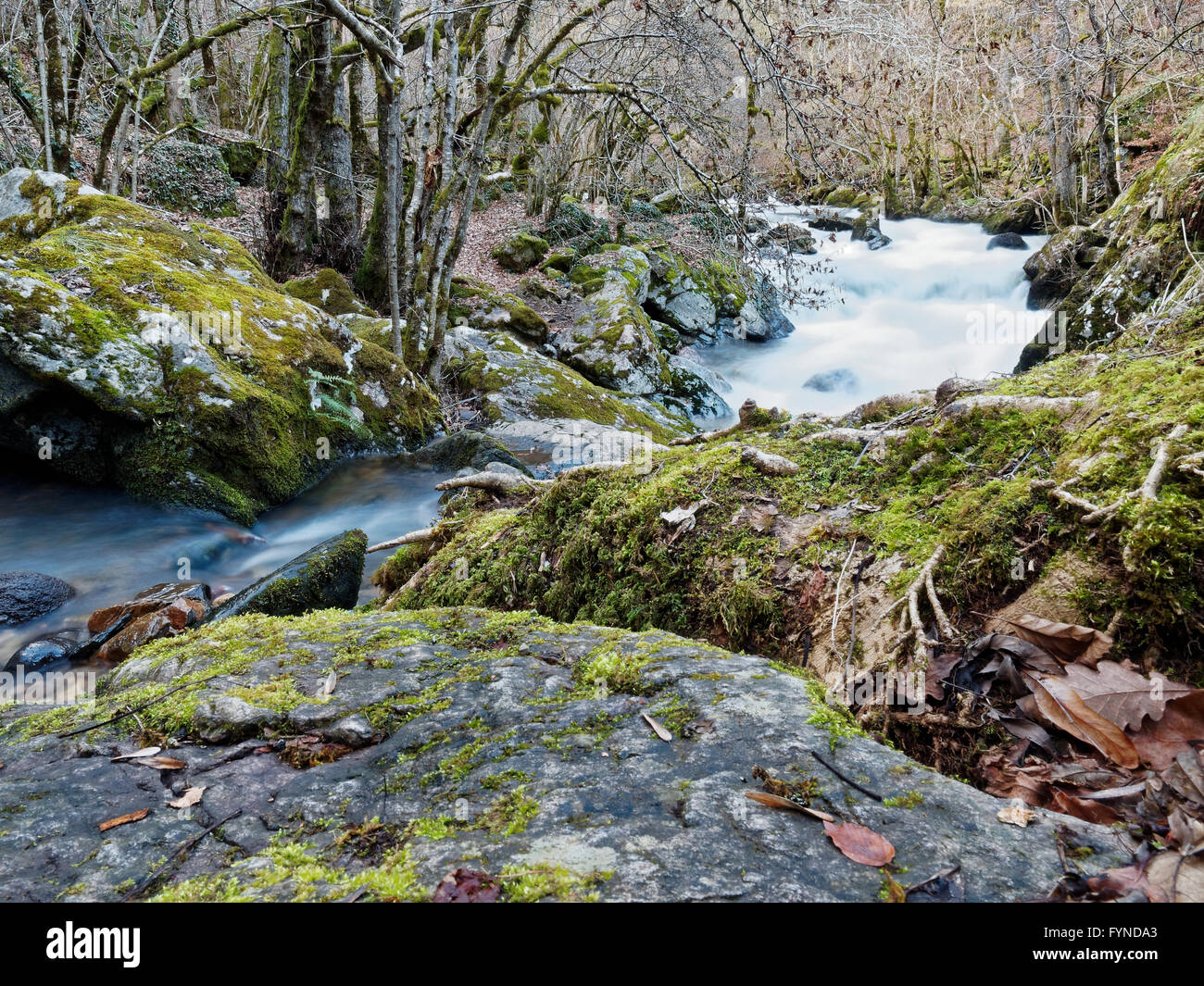 Maleval waterfall, Cantal, France Stock Photo - Alamy