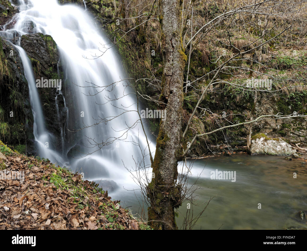 Maleval waterfall, Cantal, France Stock Photo - Alamy