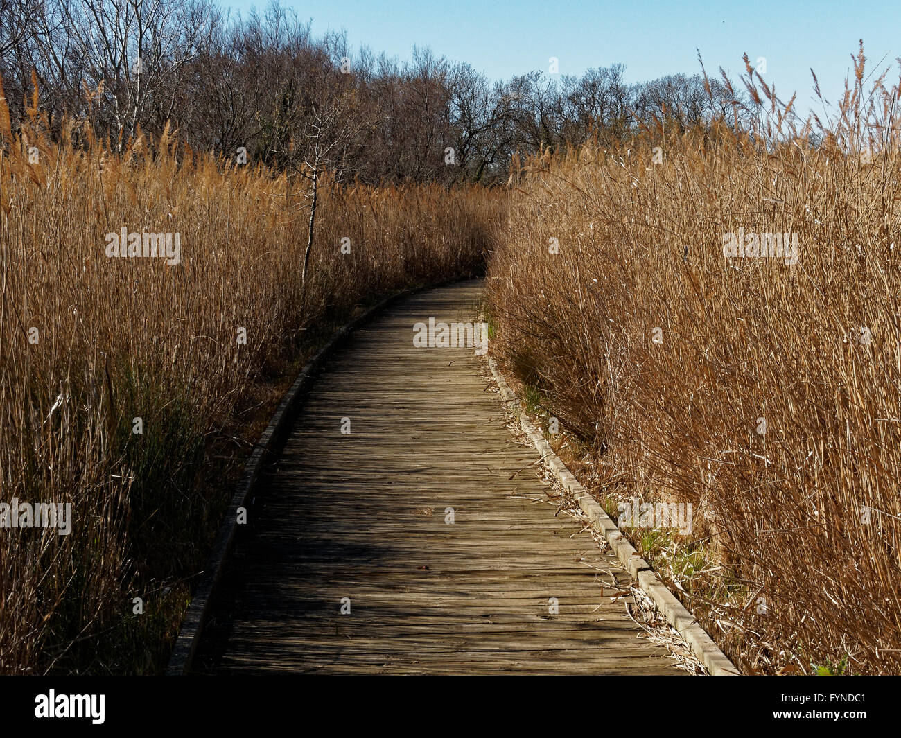Vigueirat Marsh, France Stock Photo - Alamy