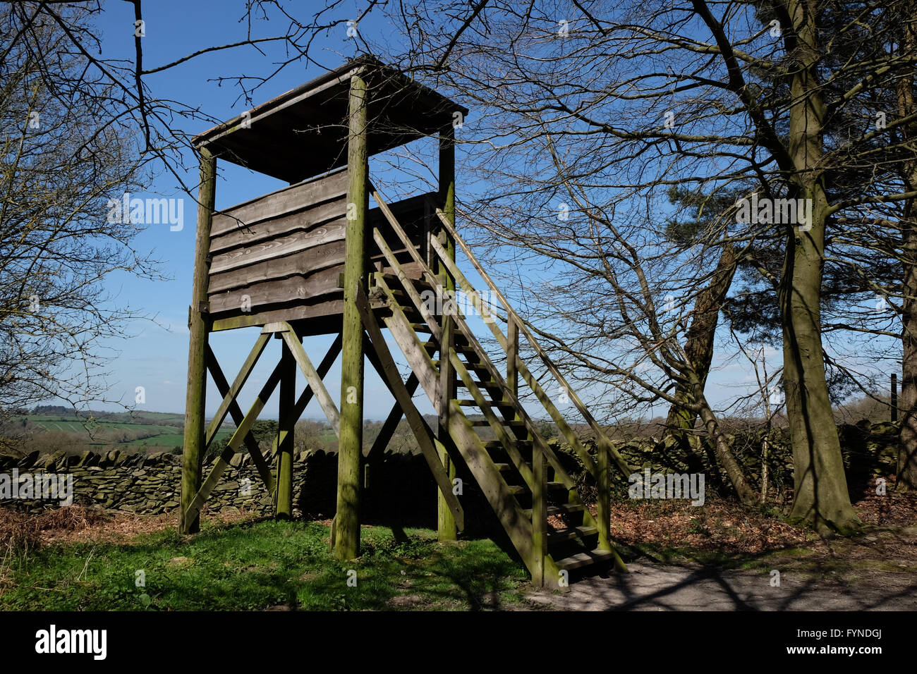 wooden lookout tower at beacon hill country park leicestershire Stock ...
