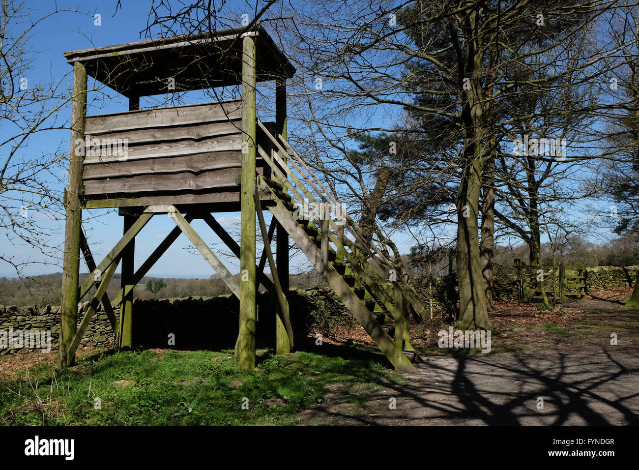 wooden lookout tower at beacon hill country park leicestershire Stock ...