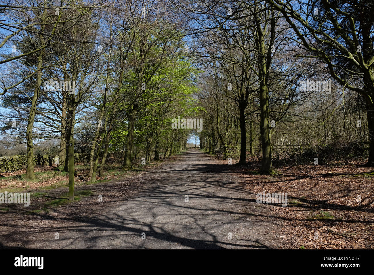 Hillside tree lined hi-res stock photography and images - Alamy