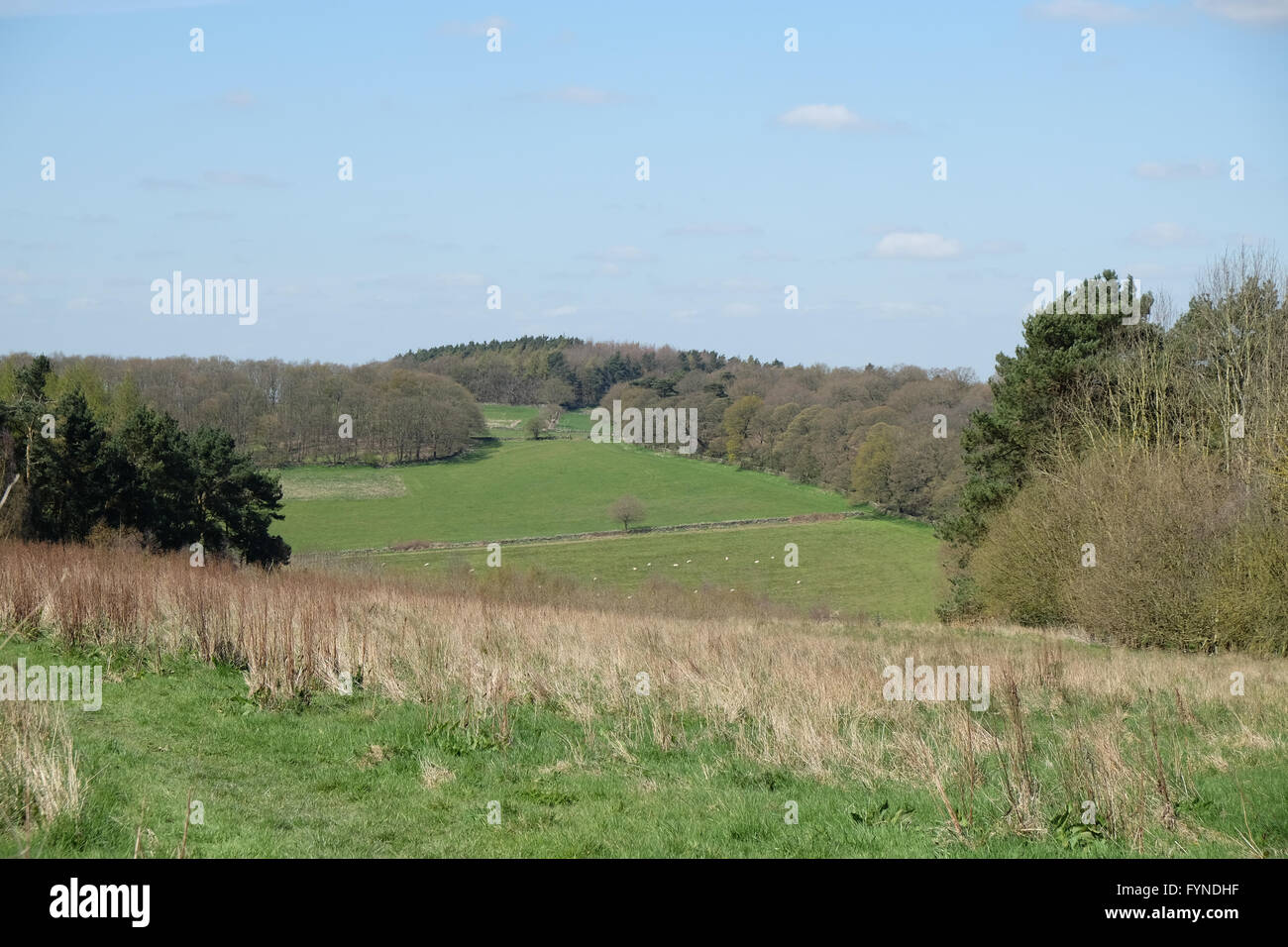 Leicestershire landscape hi-res stock photography and images - Alamy