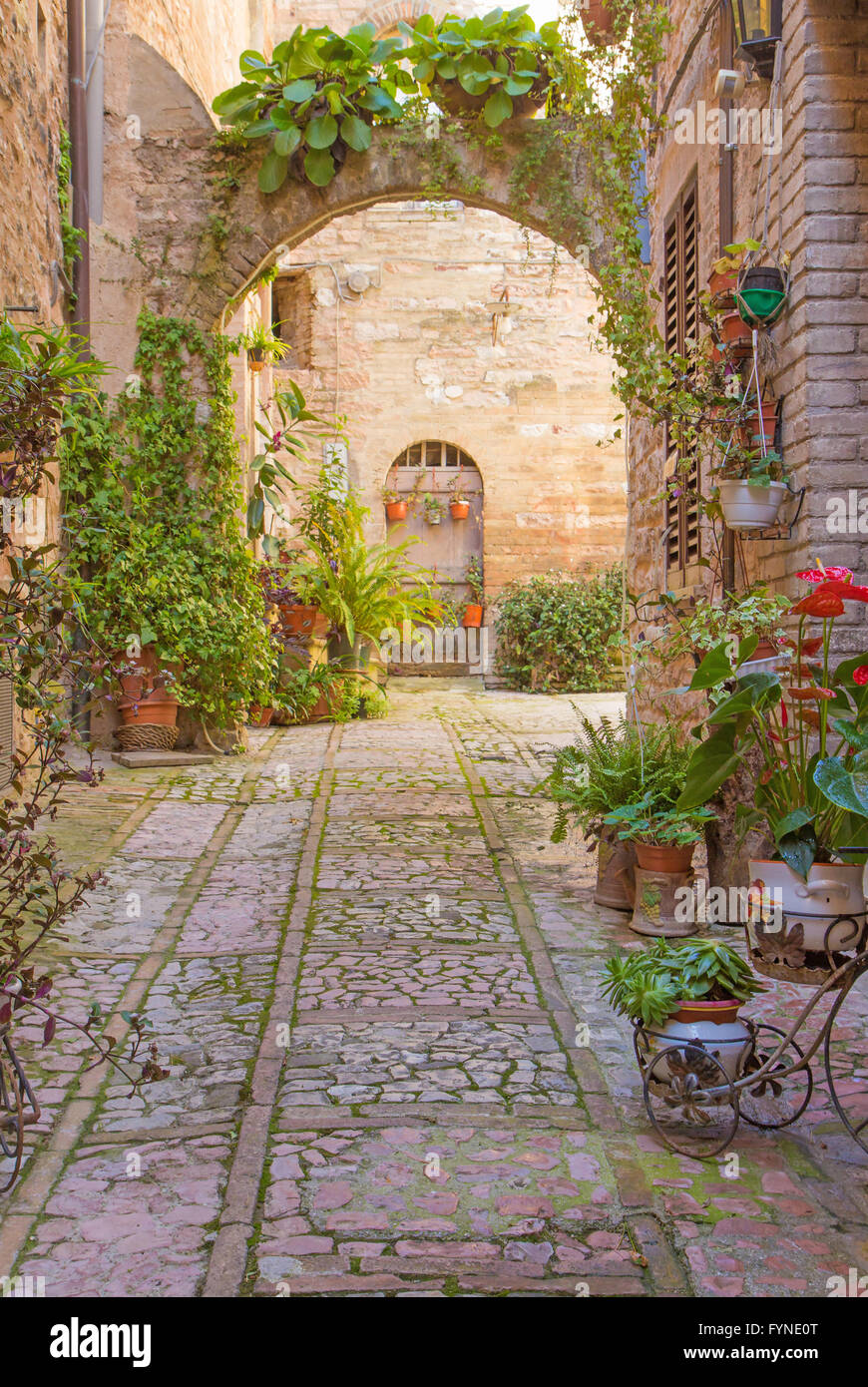 Romantic street with stone arch decorated with plants (Spello, Umbria ...