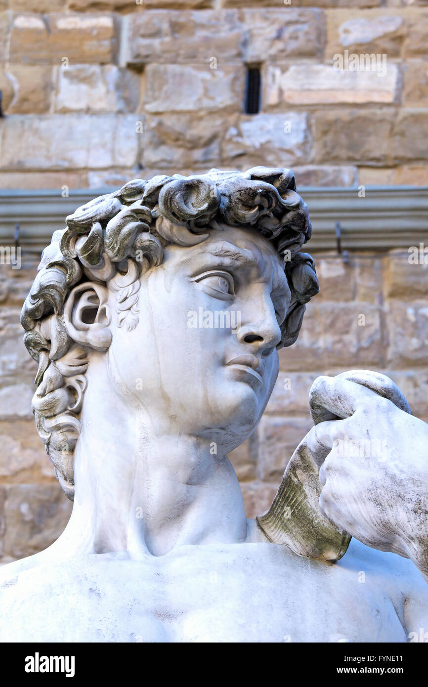 The side view of the David sculpture by Michelangelo in Florence ...