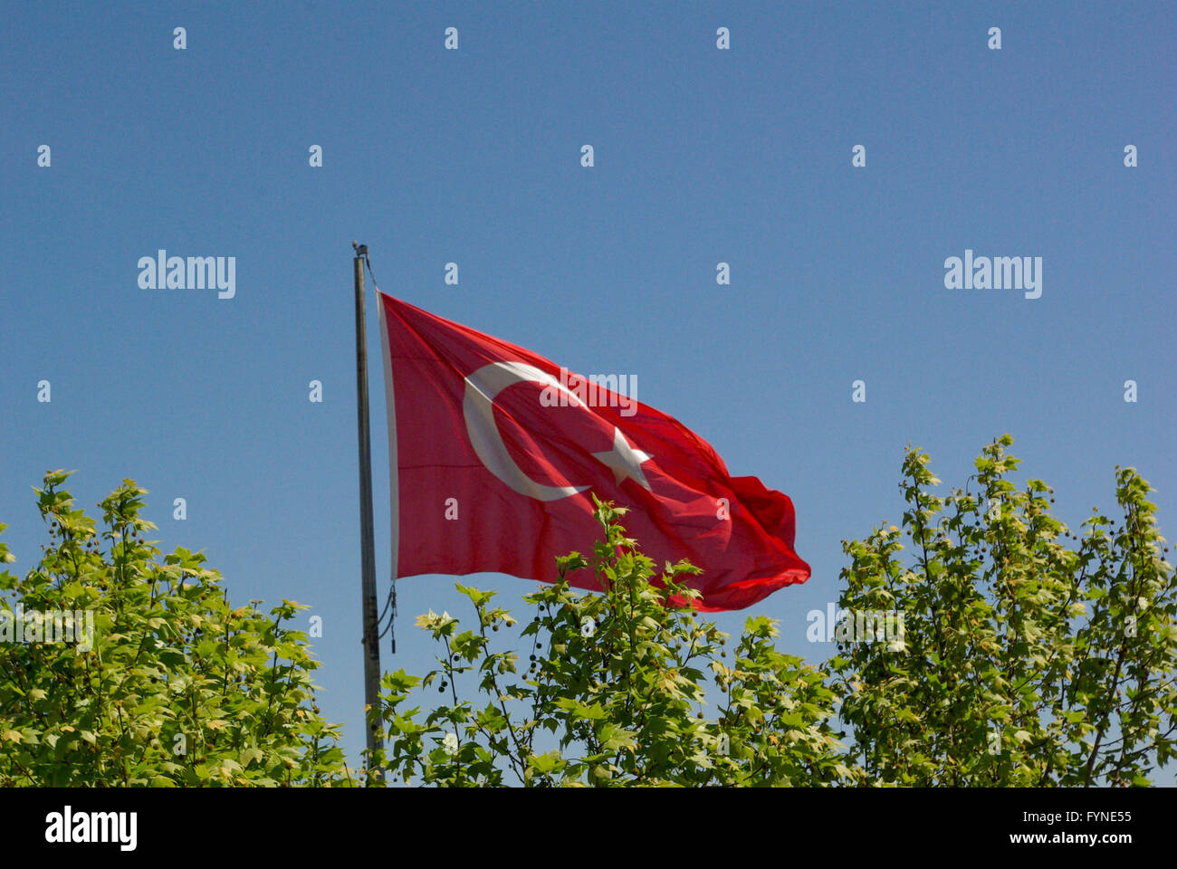 Red Turkish flag on pole over trees Stock Photo - Alamy