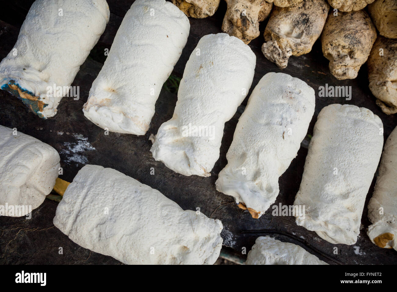 Raw rubber or latex collected and laid out on a table, Borneo Stock ...