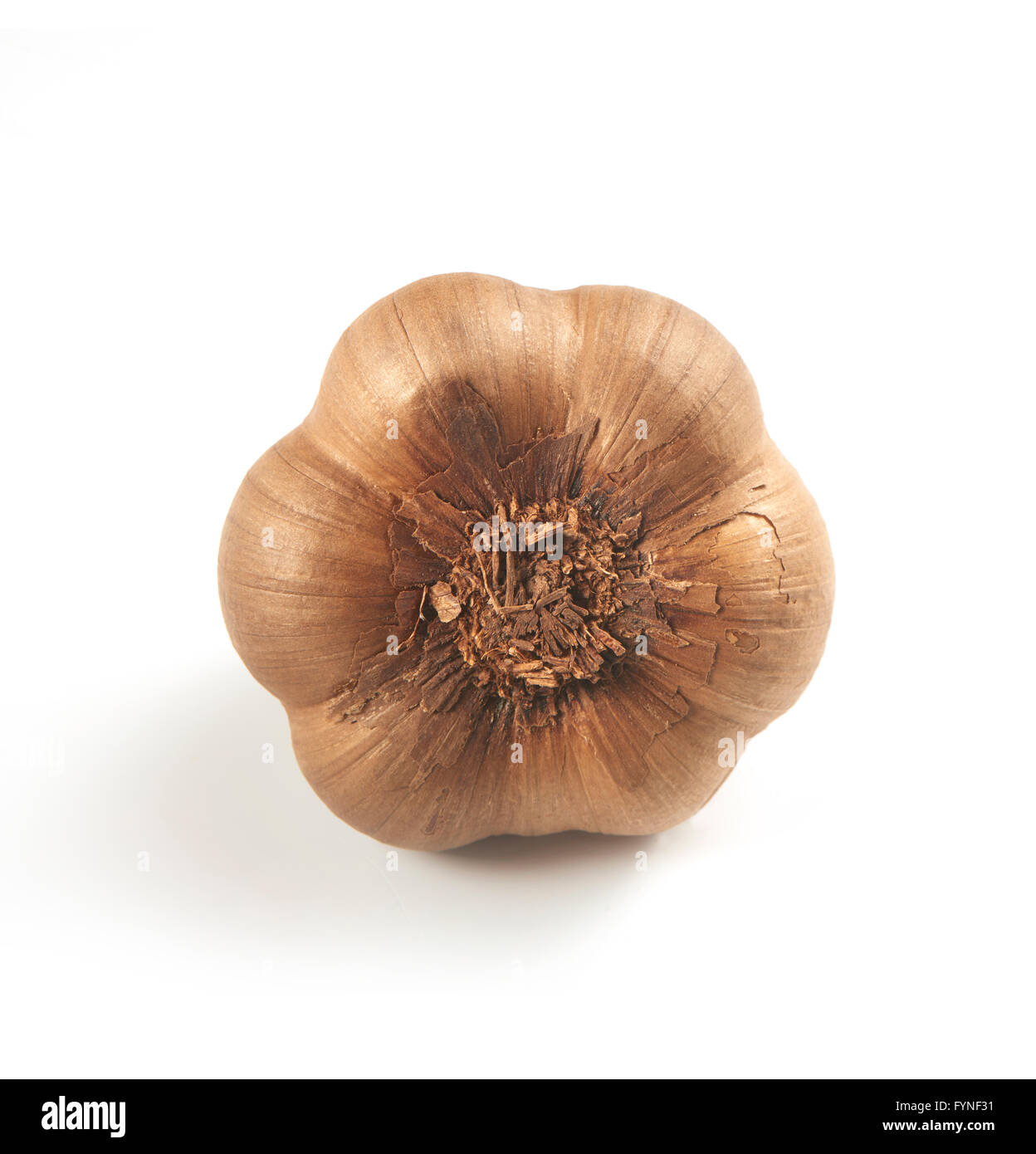 brown garlic on a white background with a soft shadow. shot from behind ...