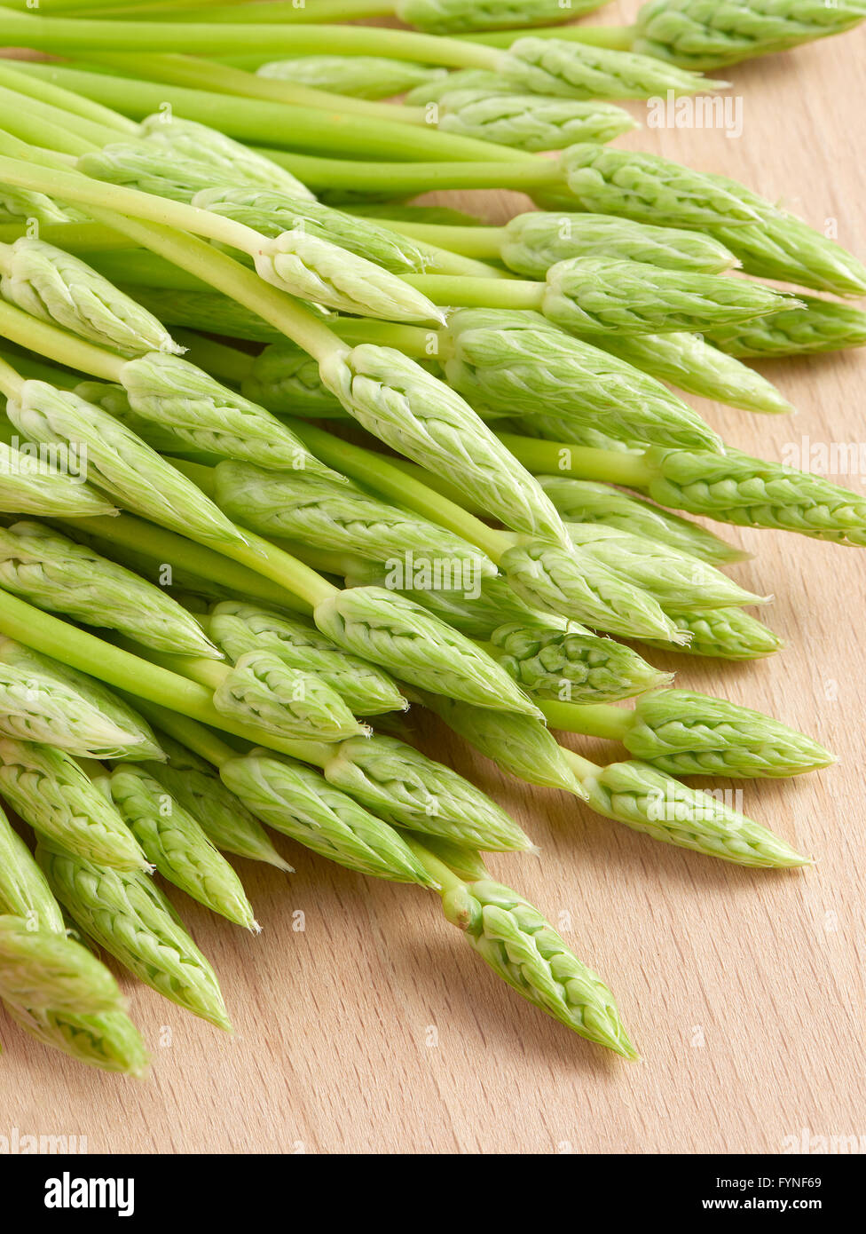 Asperges hi-res stock photography and images - Alamy