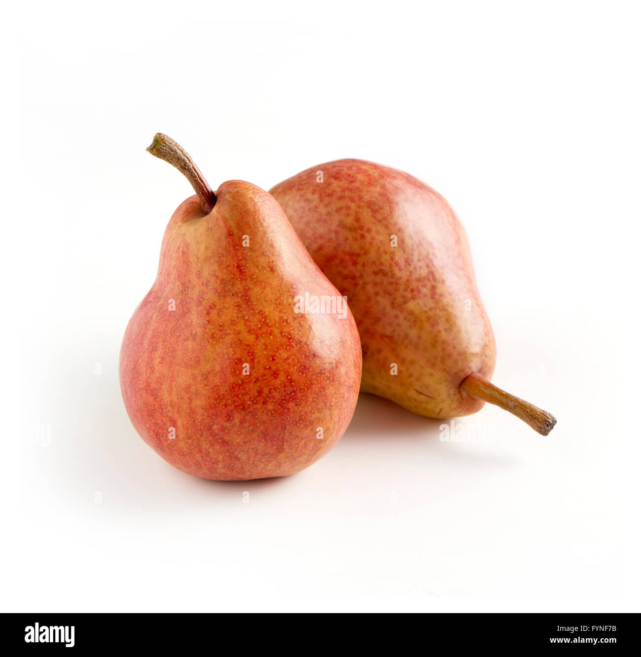 Side Profile View of Two Whole Ripe Pears with Red Skin and Long Stems ...