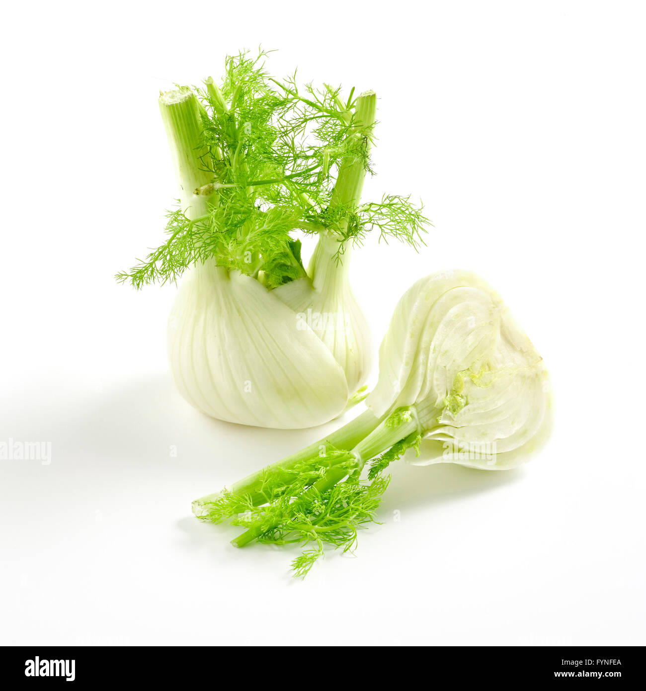 Whole and sliced fennel showing a cross-section through the bulbous ...