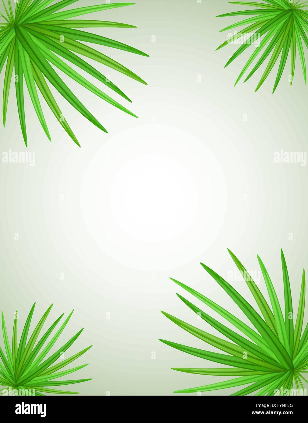 palm branch vector illustration isolated on white background Stock ...